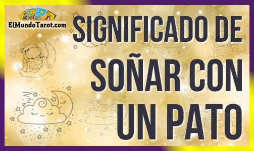 Soñar con un Pato 🦆【INTERPRETACIONES】
